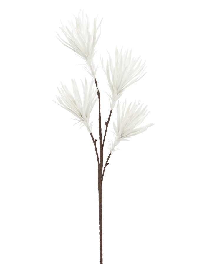 DESERT FRINGE WHITE PAPYRUS 4 BLOOM 39" STEM – Couch9